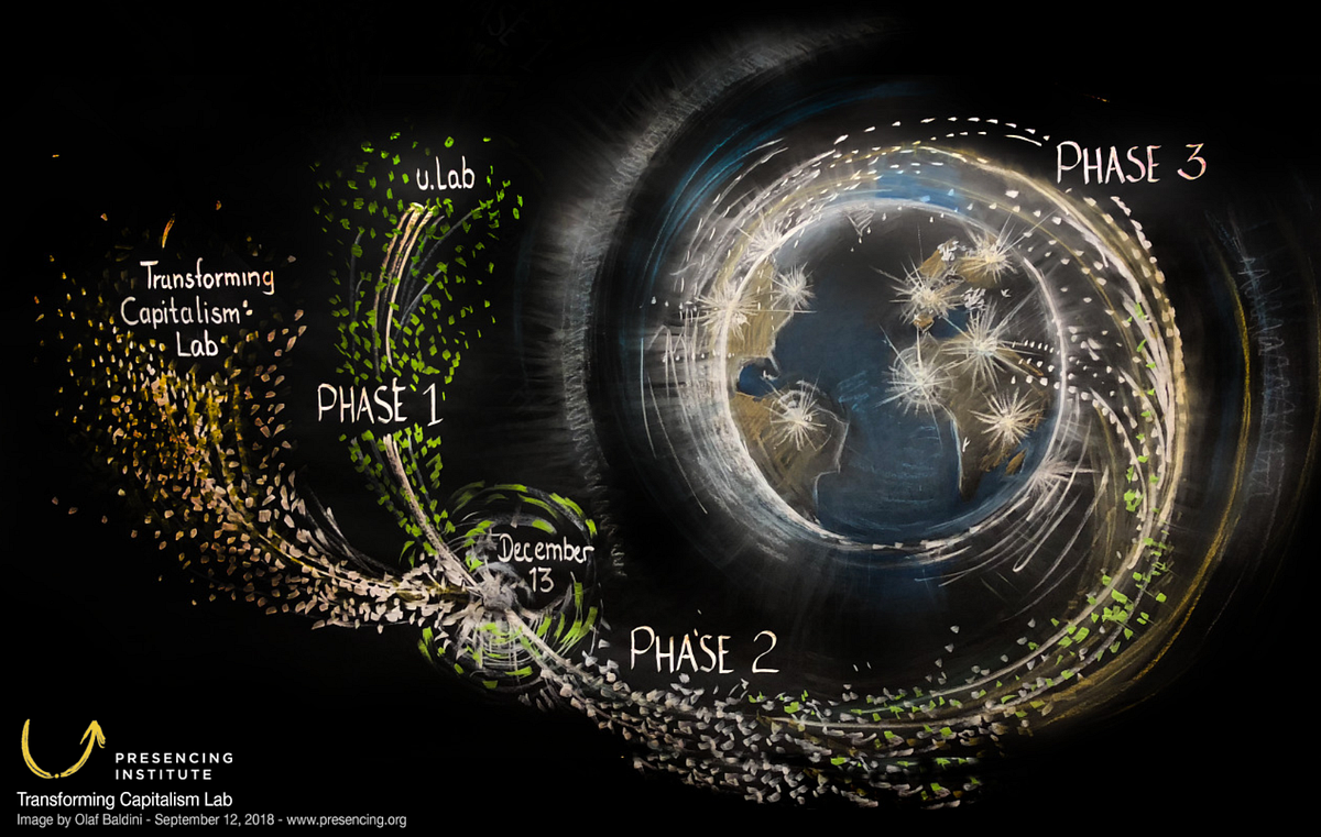 Three Stages of Global Movement Building: Soil, Seed, & Eco-system ...