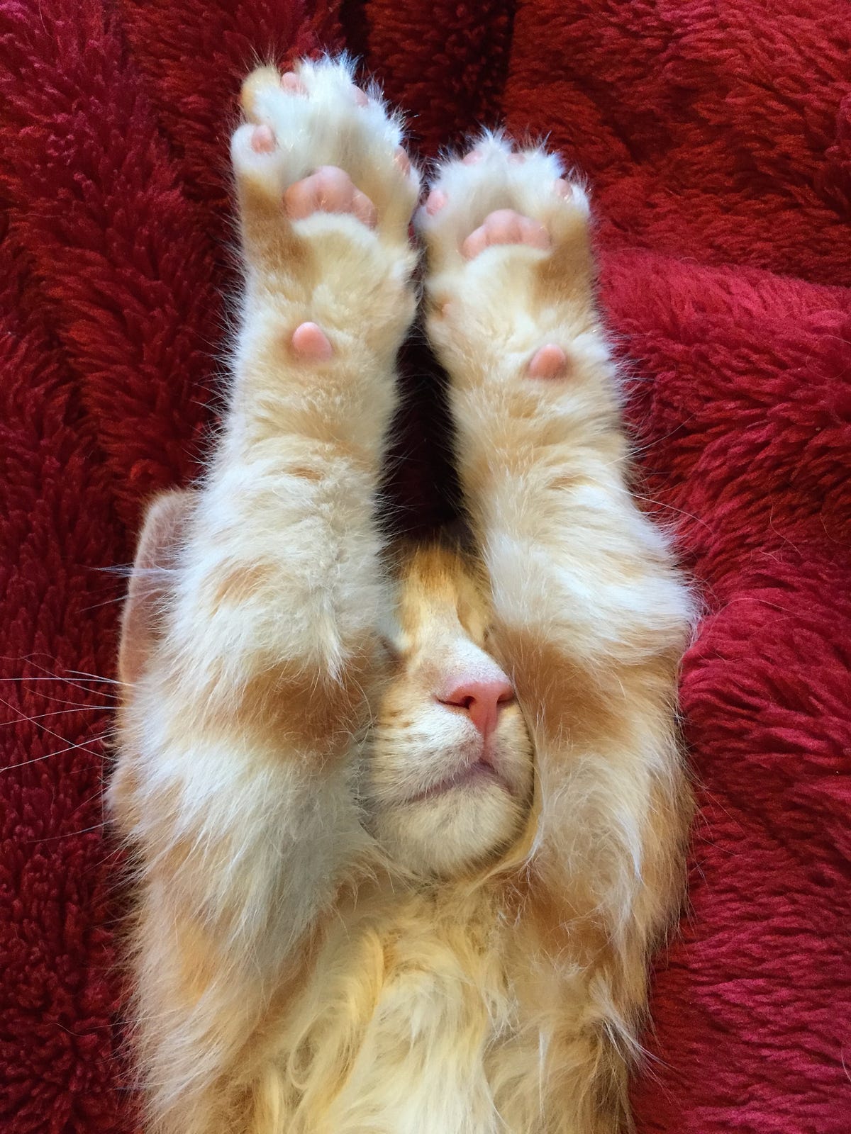 I Have Cute Toes and I Know It. July Six Word Photo Story Challenge ...