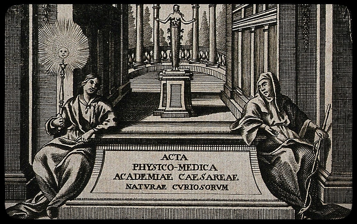 Hippocrates as Historian and Philosopher of Ancient Medicine | by Pippo ...
