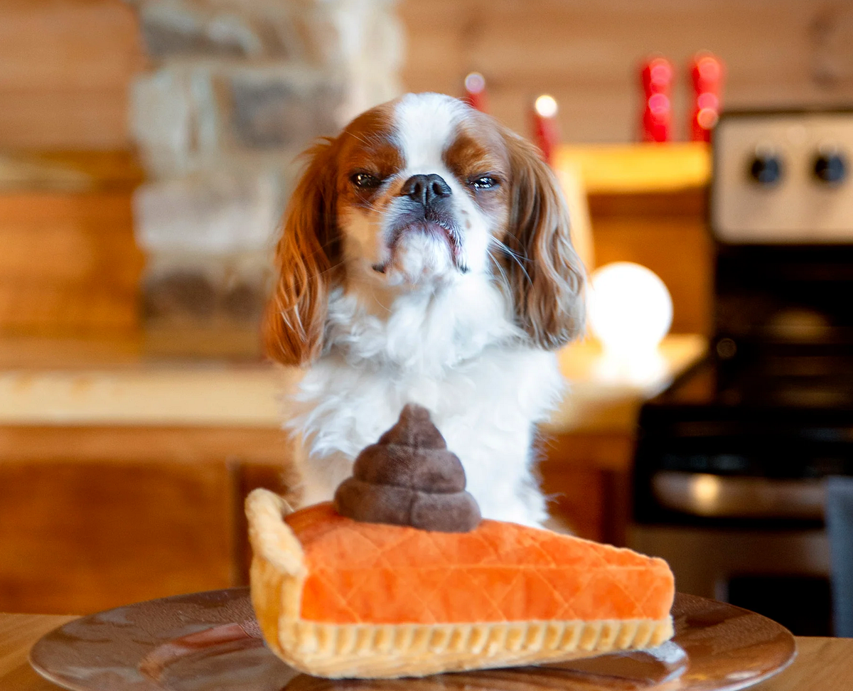 Mastering NumPy: 100 Tips and Strategies For Efficient Data Manipulation and Analysis in Python ...