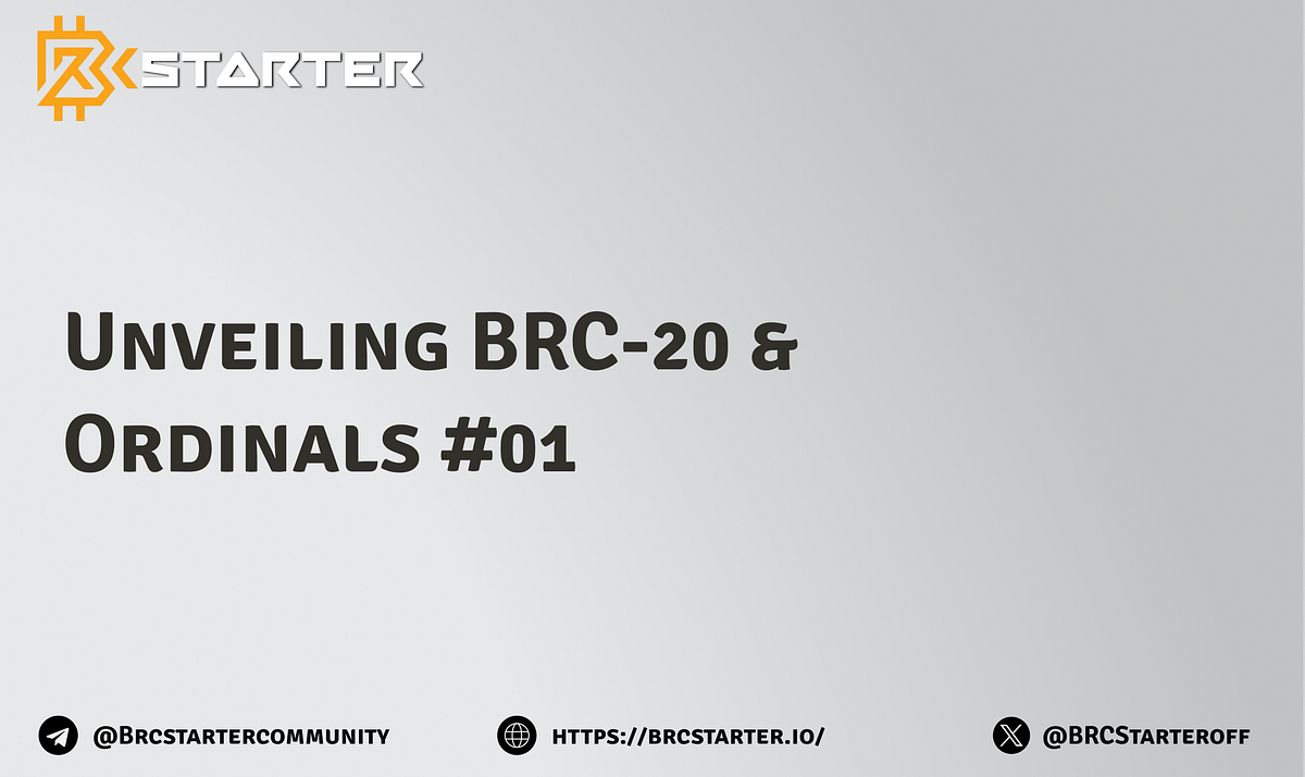 Unveiling BRC-20 & Ordinals #01. Introduction | by BrightStart | Medium
