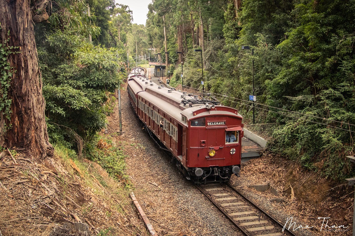 Red Rattler, once again rattling through Dandenong Ranges. | by Max ...