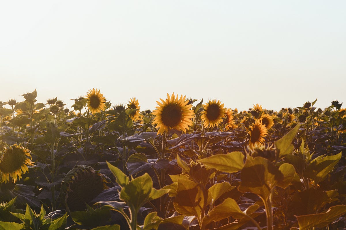 When your heart feels heavy, take a beat | by Amanda D'Ambra | Medium