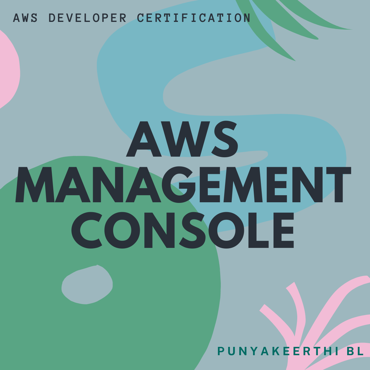 AWS Management Console: An All-in-One Cloud Dashboard | by Punyakeerthi BL | Aug, 2024 | Medium