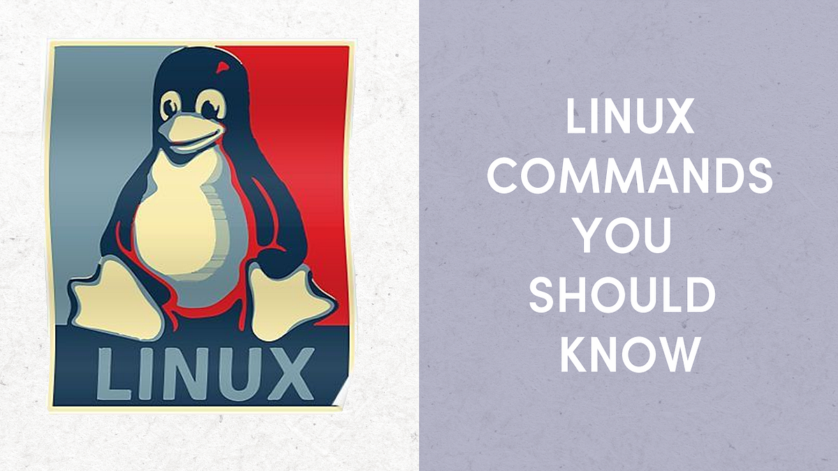 Managing Processes in Linux. Using Commands | by Arton D. | Medium