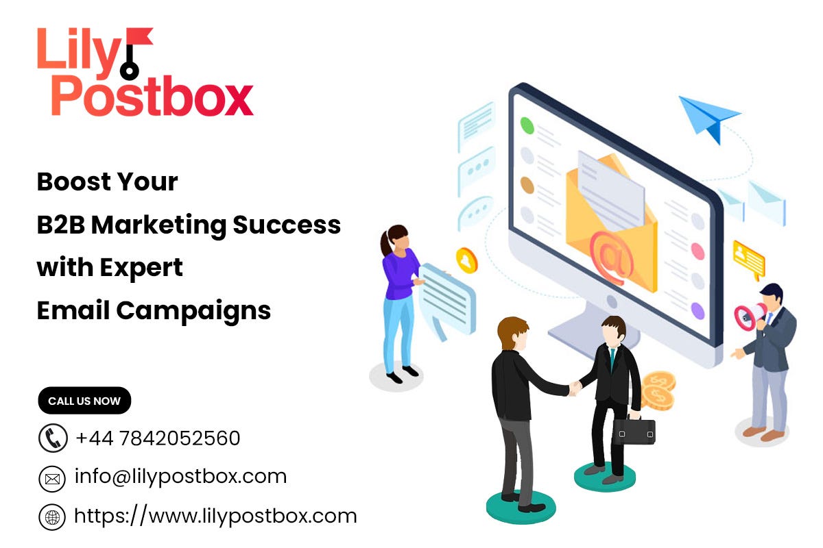 Boost Your B2B Marketing Success with Expert Email Campaigns - Lily ...
