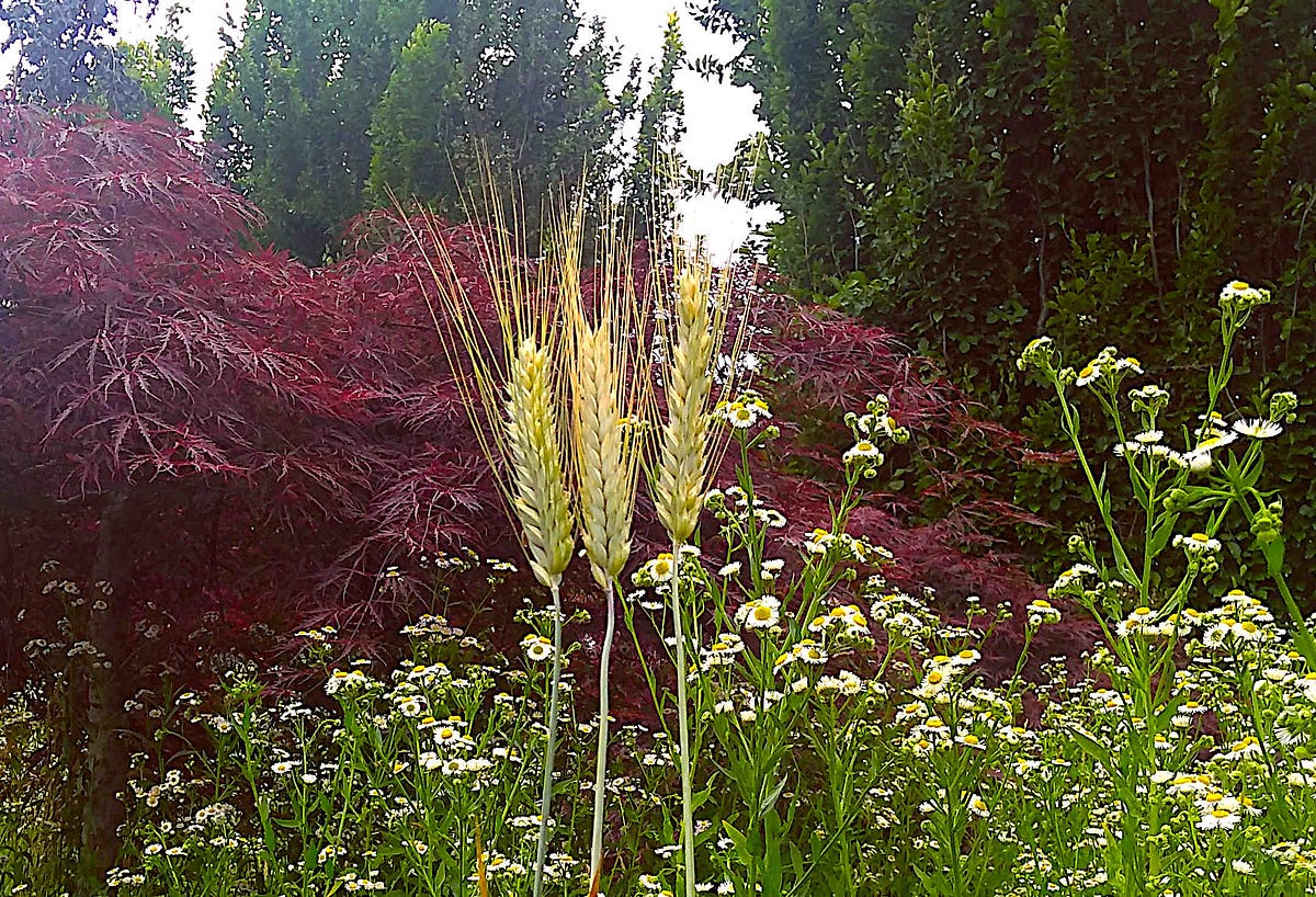 How to Make Old Code Clean and Clear | by Giancarlo Radaelli ...