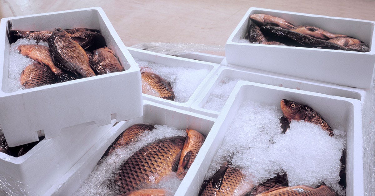 Fish Cold Storage in Mumbai - Aparna Kshirsagar - Medium