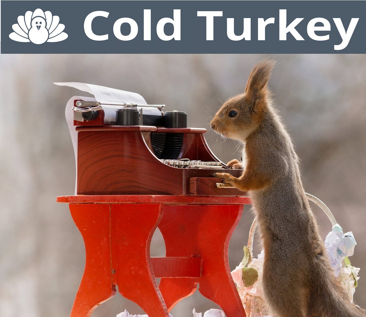 Cold Turkey For Writers. Go Cold Turkey And Write Like A Maniac | by ...