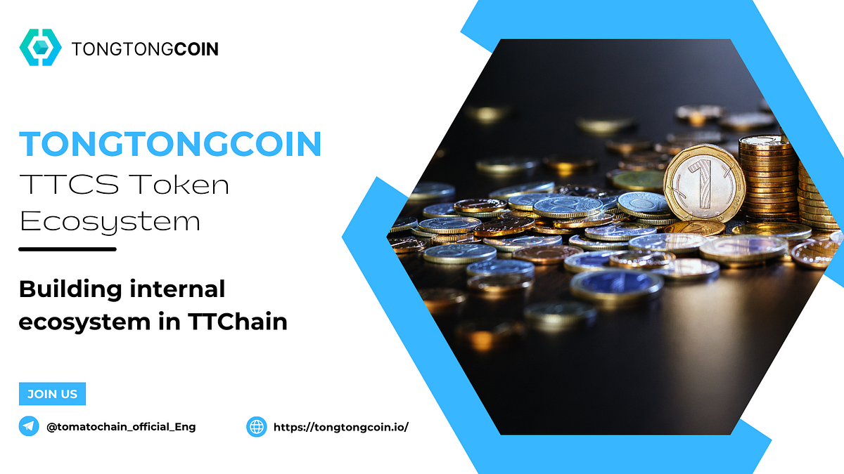 TTCS Token Ecosystem. Building internal ecosystem in TTChain | by ...