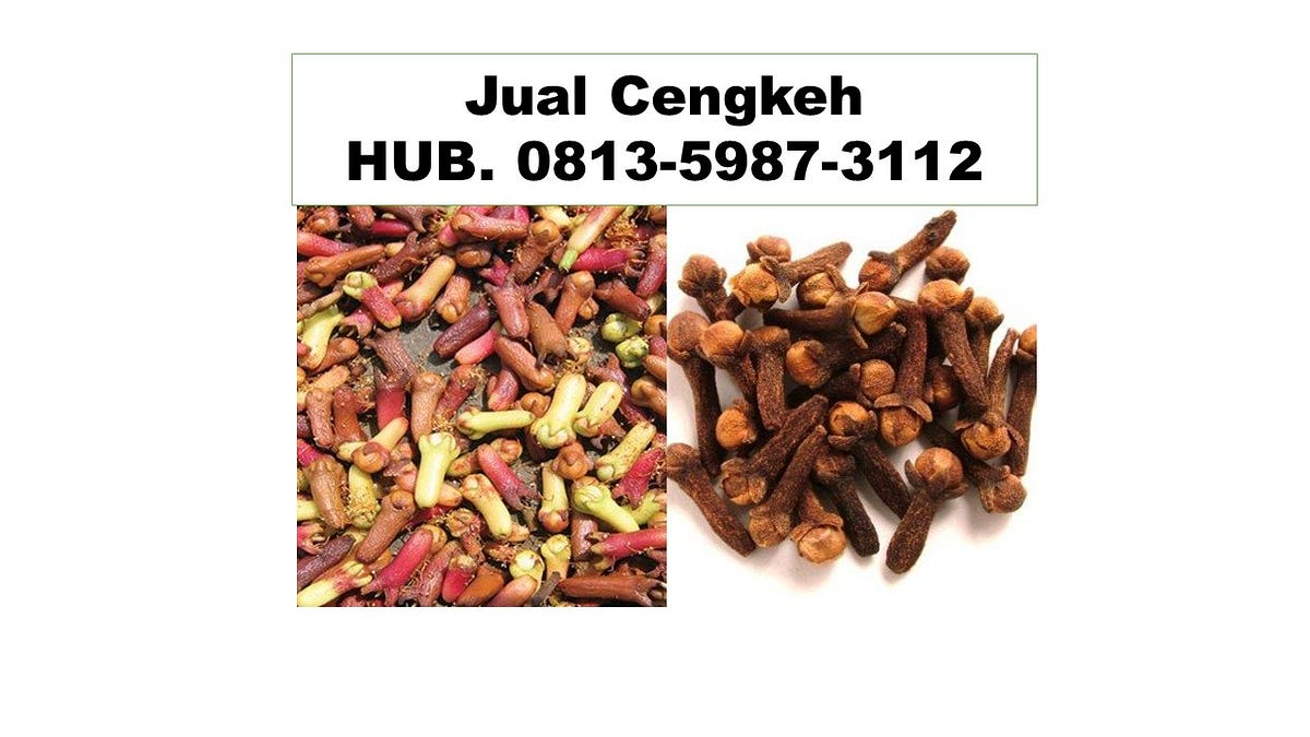 TERVIRAL !!! https://wa.me/6281359873112 Harga Cengkeh Mentah, Harga ...