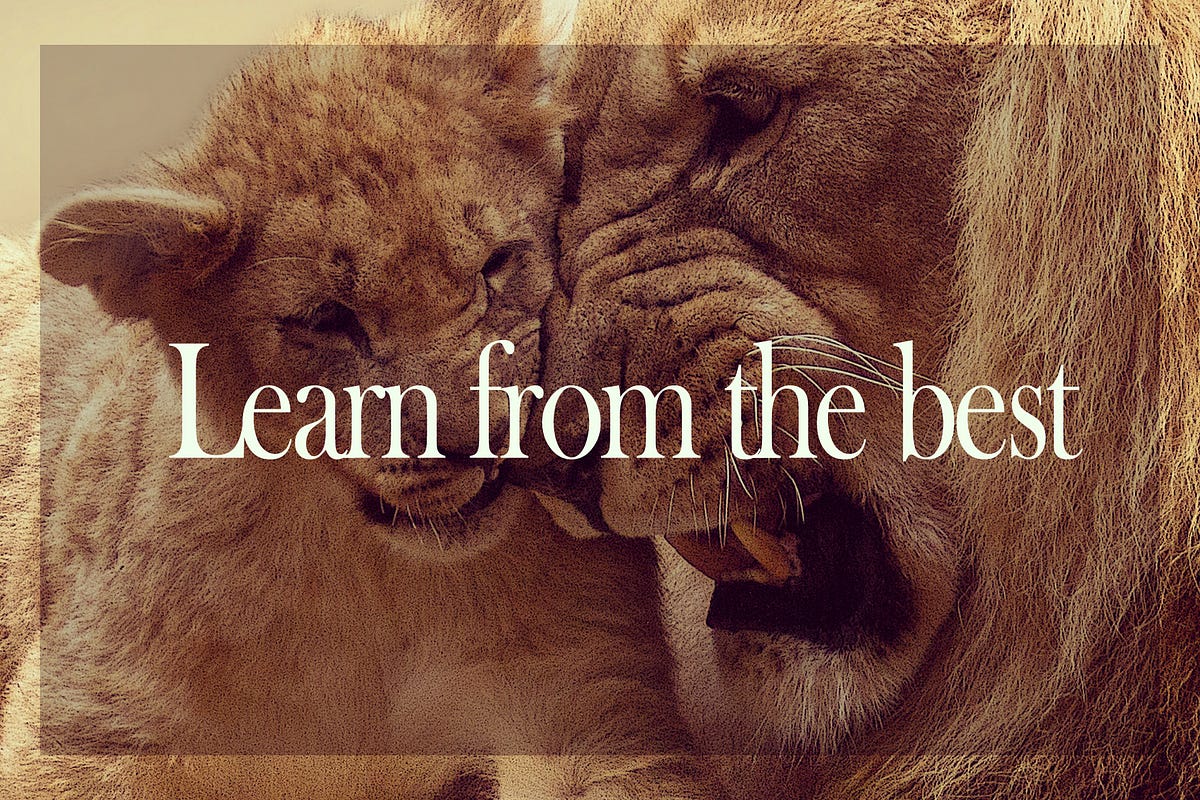 Learn from the best to become the best. | by Gomolemo Clive Moima | Medium