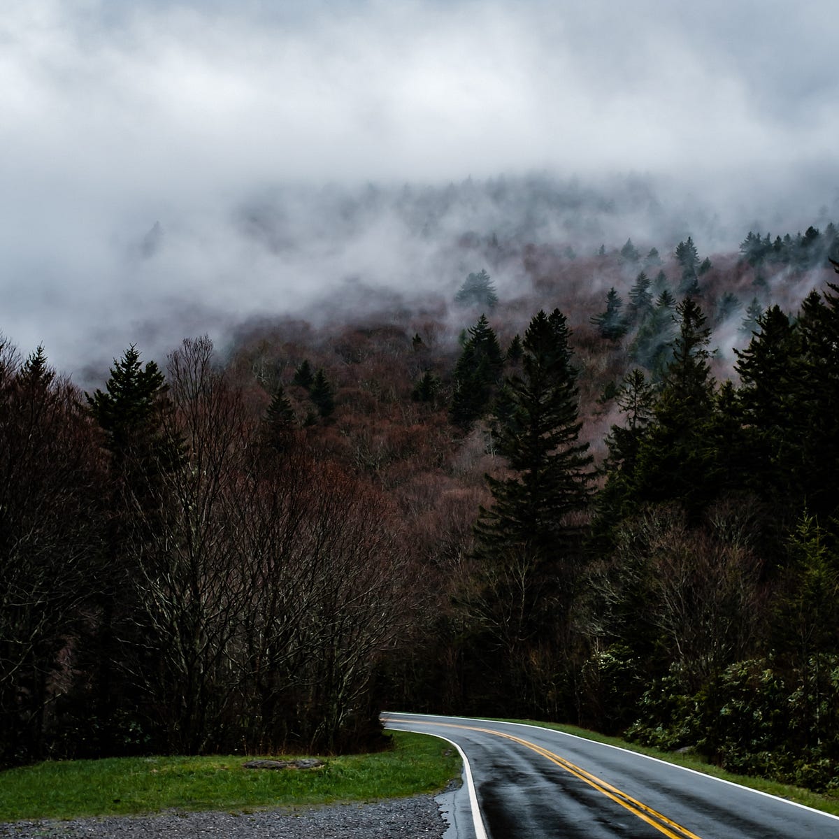 Top Ten (#9). Here is # 9. | by Tim Bindner | Medium