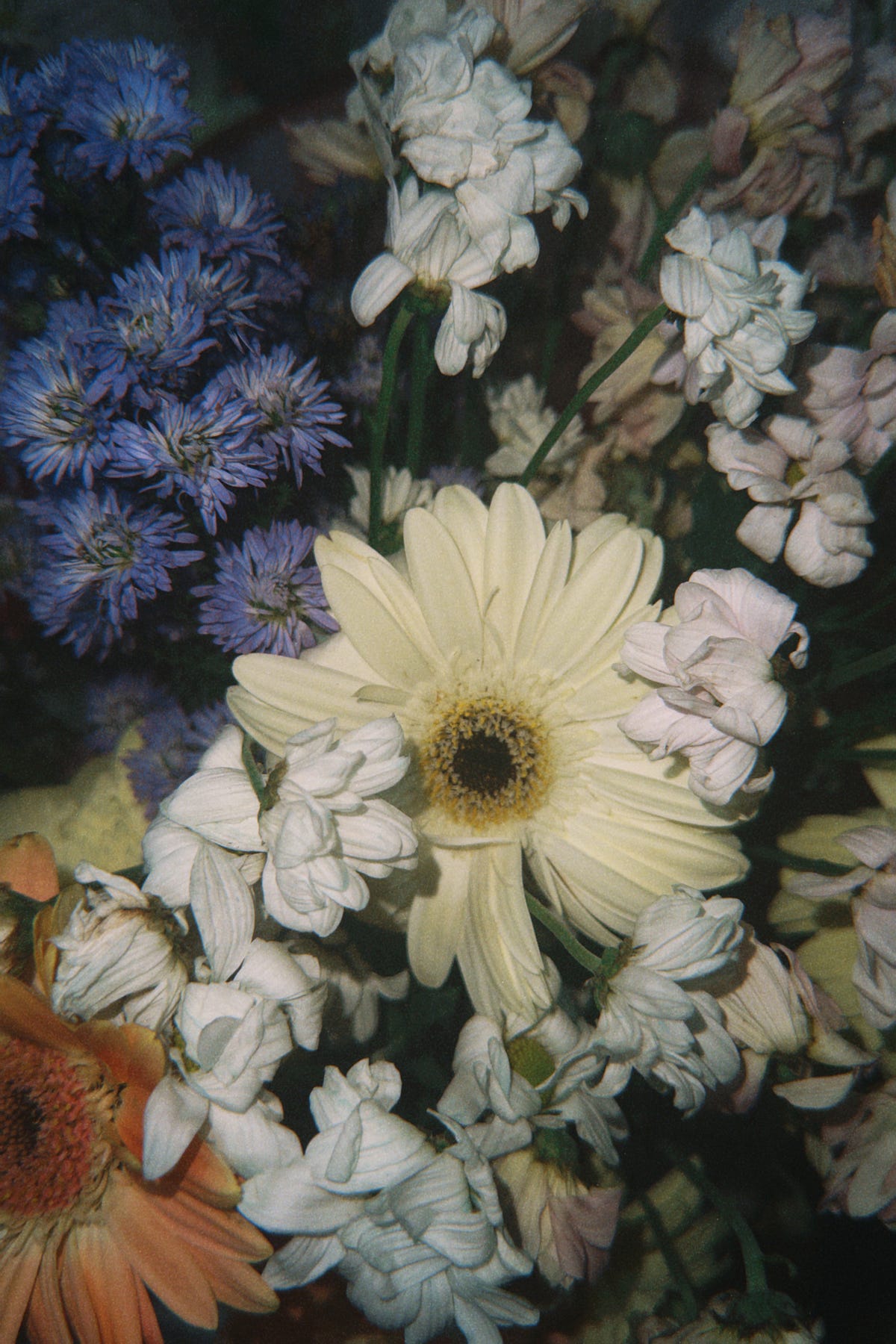 Was Marinated in My Drafts - qel - Medium