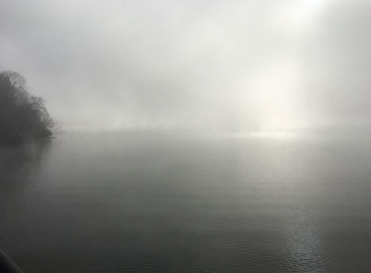 Good Morning. I woke up then went back to sleep | by Destiny Cohen ...
