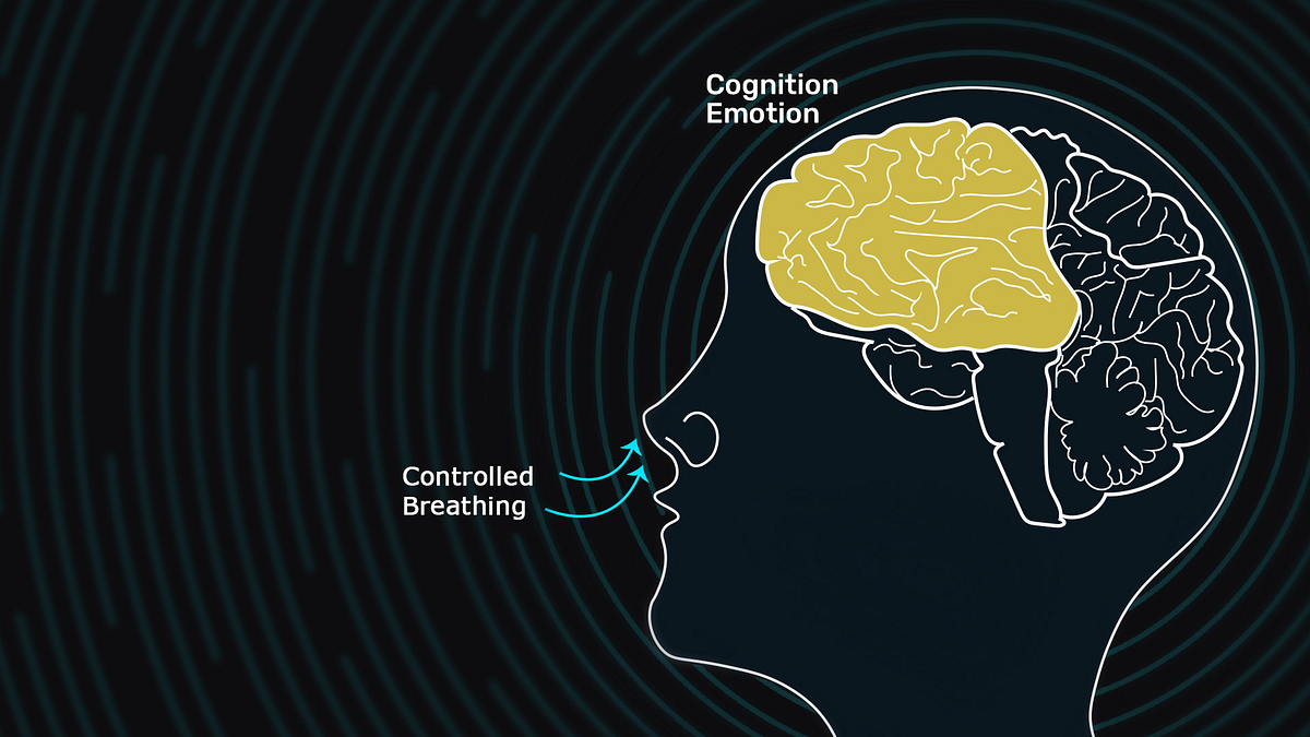 Unleashing the Potential of Breath: How Controlled Breathing Shapes ...