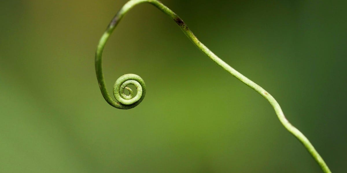 Working Outloud — Circle Diaries Week 4 | by Working Outloud | Medium