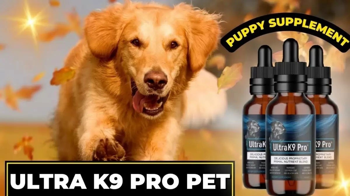 Unlock Your Dog’s Full Potential with UltraK9 Pro: A Simple Change for ...