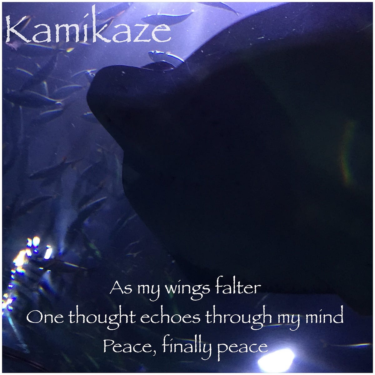 Kamikaze •. Today was alright, but this moment… | by Greg C. Bolanos ...