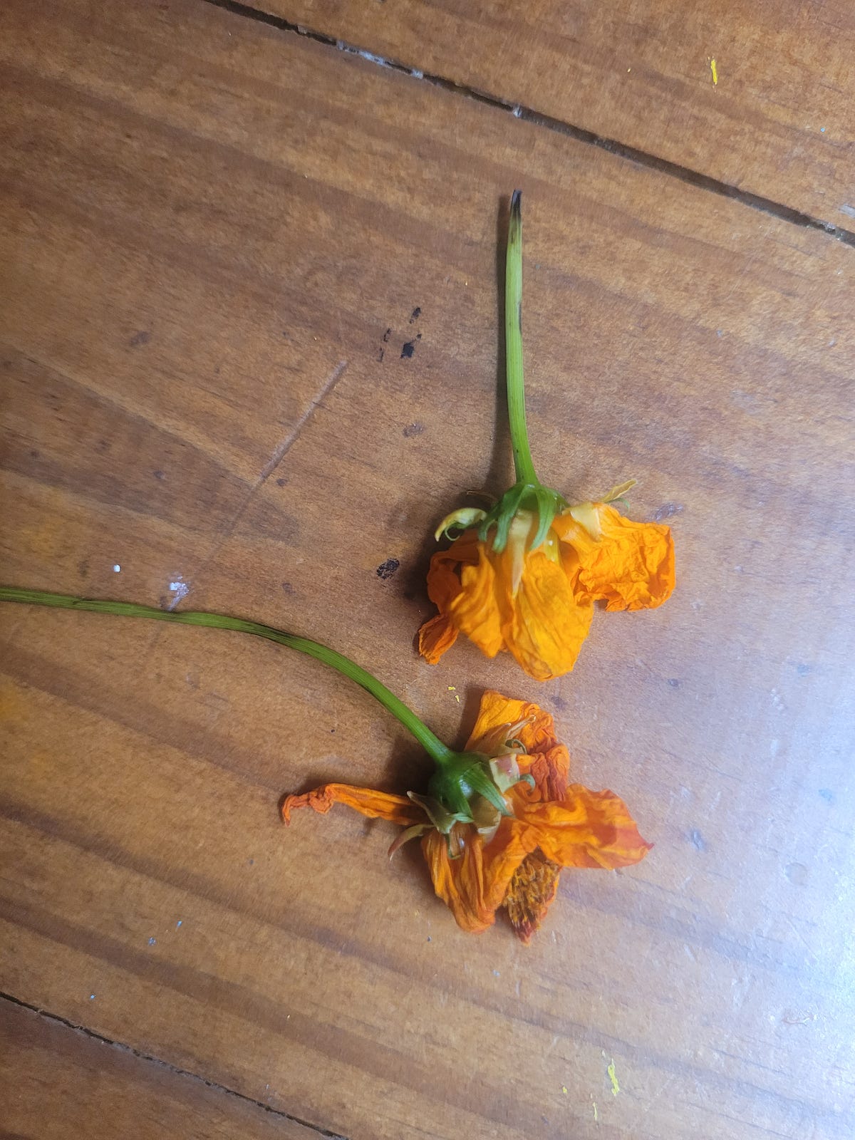 Explaining a Poem - Ivy Lewis - Medium