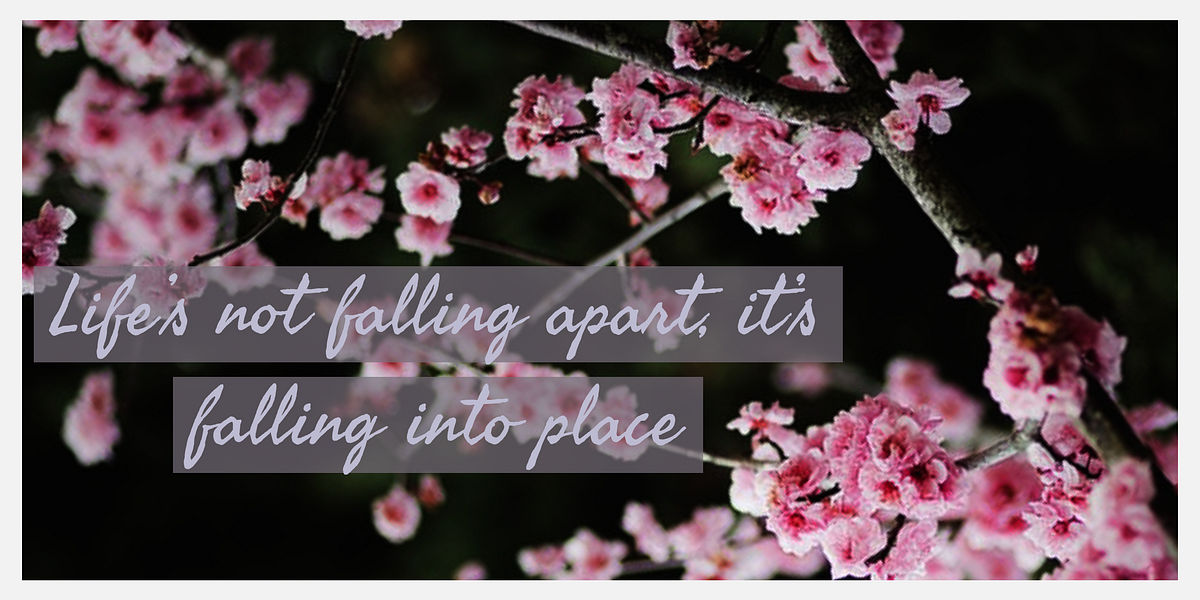 Life’s Not Falling Apart, It’s Falling Into Place | by Merlyn Reena ...