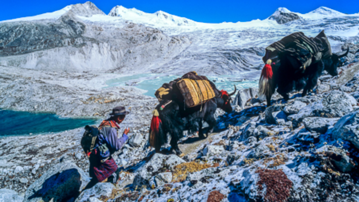 If You Are A Thrill Seeker, Here Are Top 10 Most Dangerous Treks Around ...