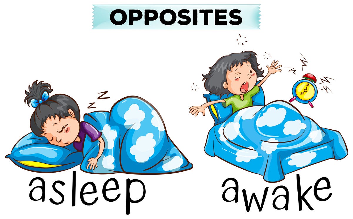 Sleepy Mornings & Awake Late Nights | by Victoria Landrum | Women Write ...