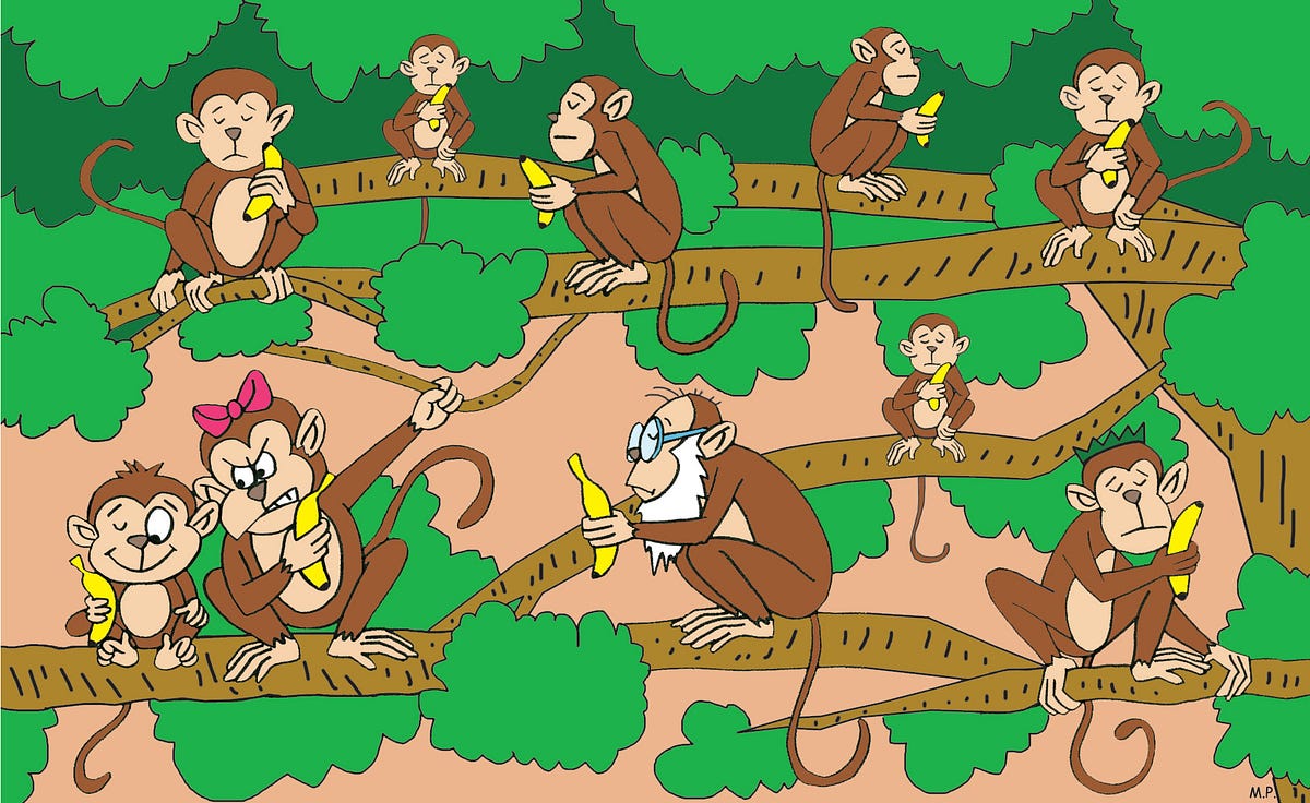 Monkeys on a fast. One day, a group of monkeys in a banana… | by Katha ...