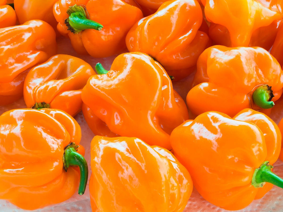 Is it possible to take the heat out of a habanero? | by Best Food Facts ...