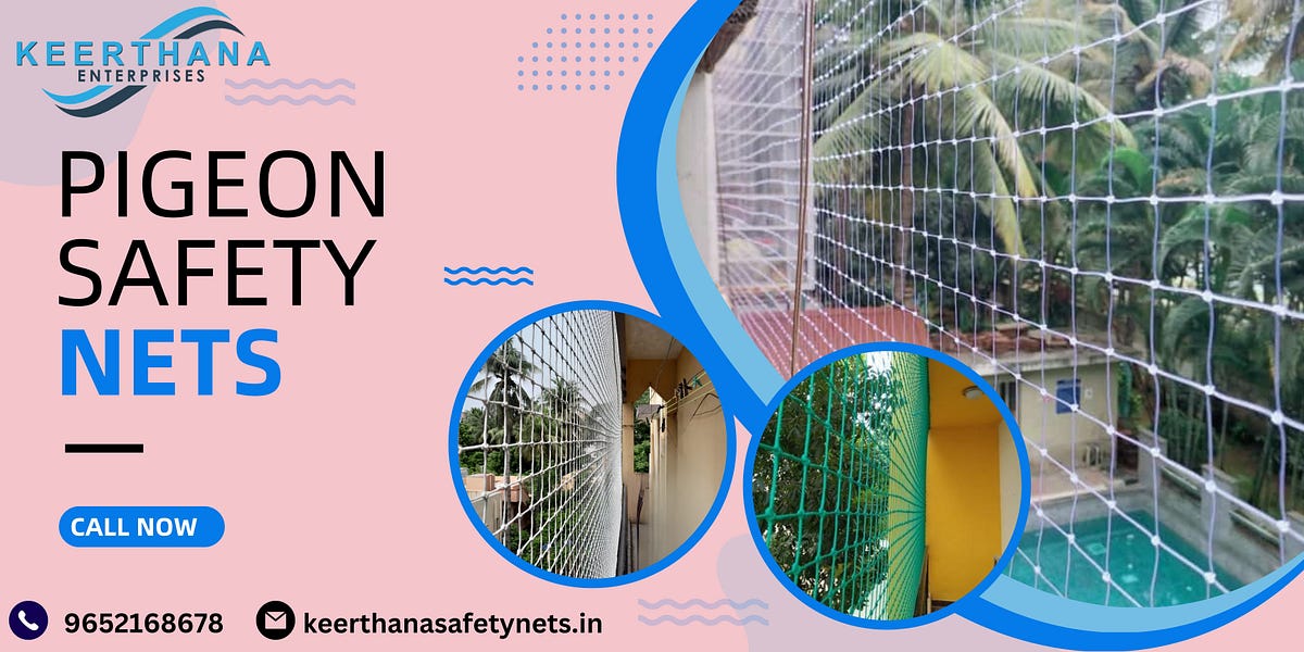 Effective Pigeon Control Solutions in Pune | Keerthana Safety Nets ...