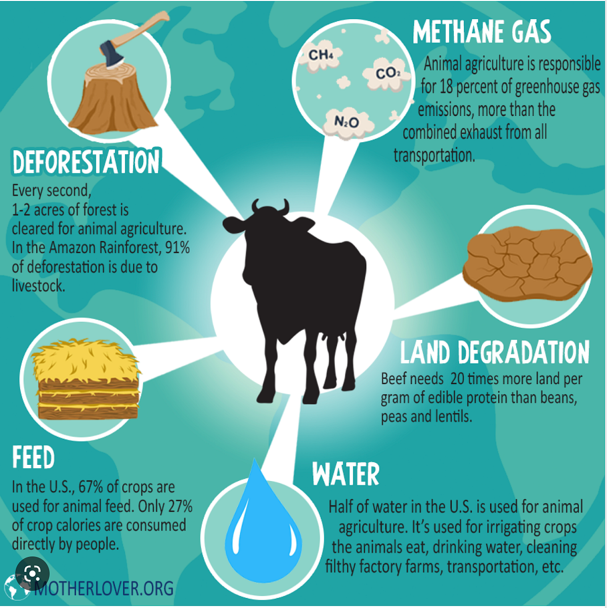 Cause & Effect of Agriculture on the Climate | by Nima Raychaudhuri ...