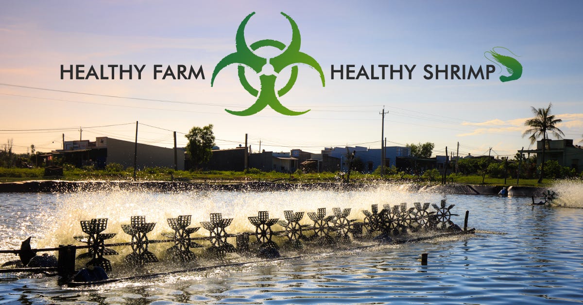 BIOSECURITY IN SHRIMP FARMING - A FEW THINGS FARMERS MUST KNOW | by ...