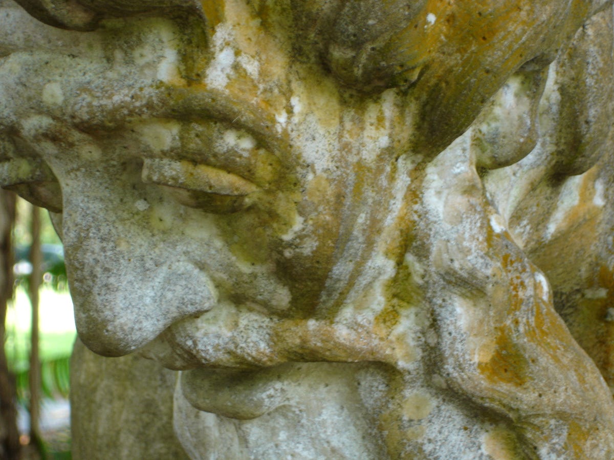 Musings on Heartbreak and the Human Journey | by W. Craig Gilliam | Medium