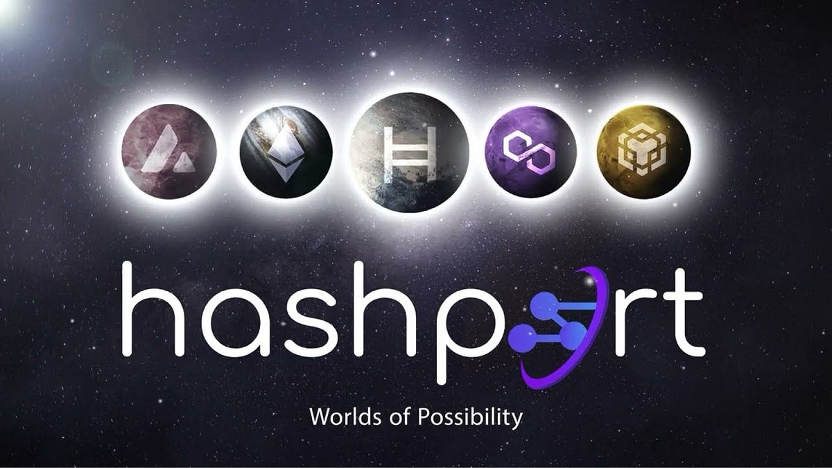 A Deep Dive into the Hashport Network: Bridging Assets to Hedera’s Ecosystem | by 9ja360 Ng ...