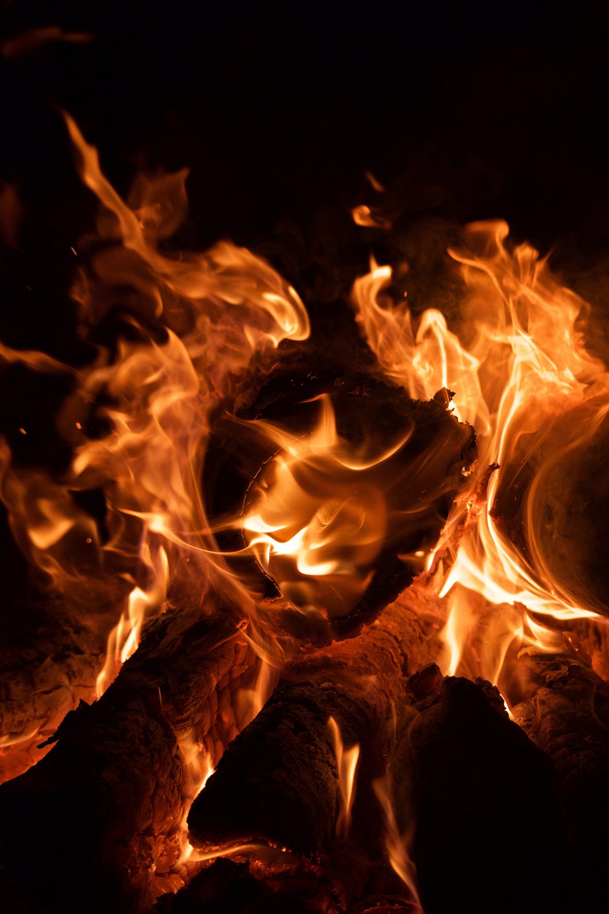 The Art of Strategy: Disruption. 12. How to disrupt and avoid being ...