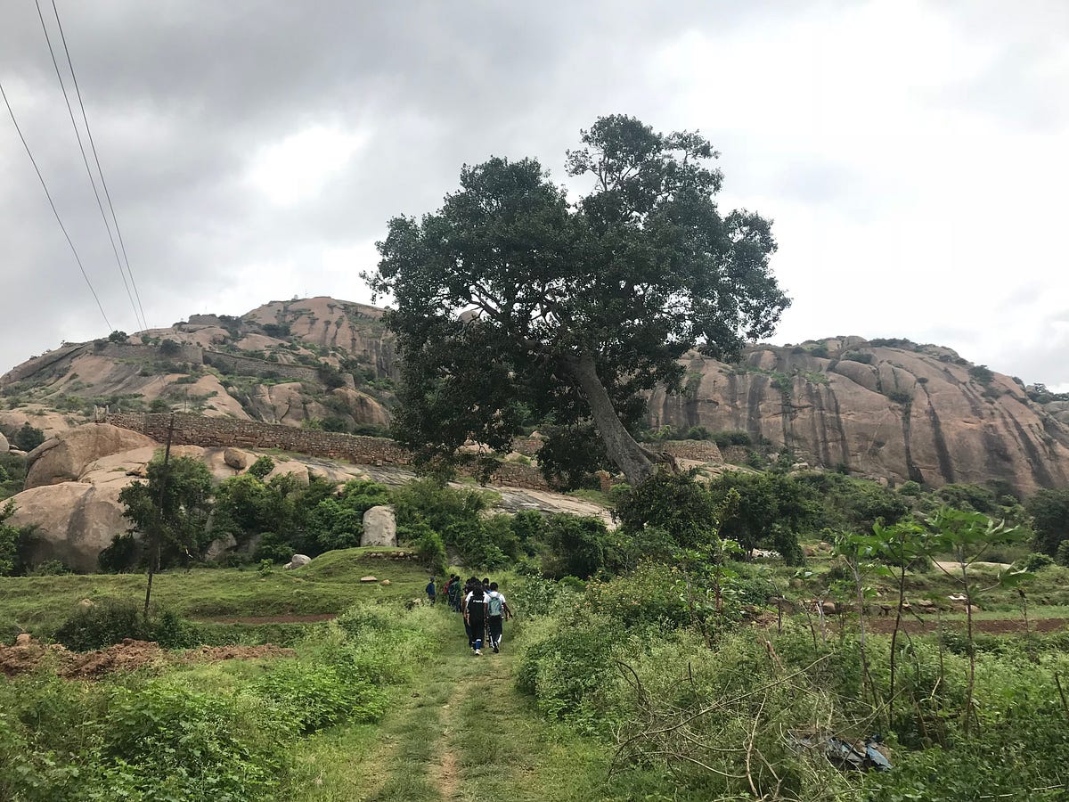 Uttari Betta : One day trek in Karnataka | by Atit Patel | Medium