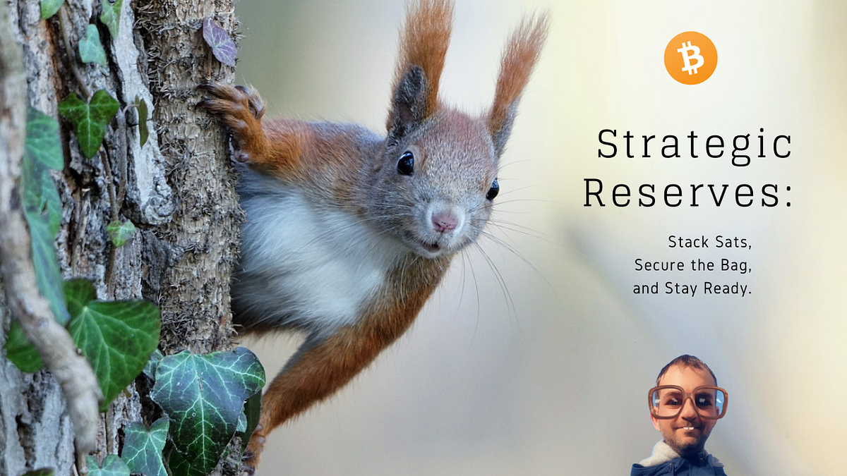 Strategic Reserves: Stack Sats, Secure the Bag, and Stay Ready | by ...