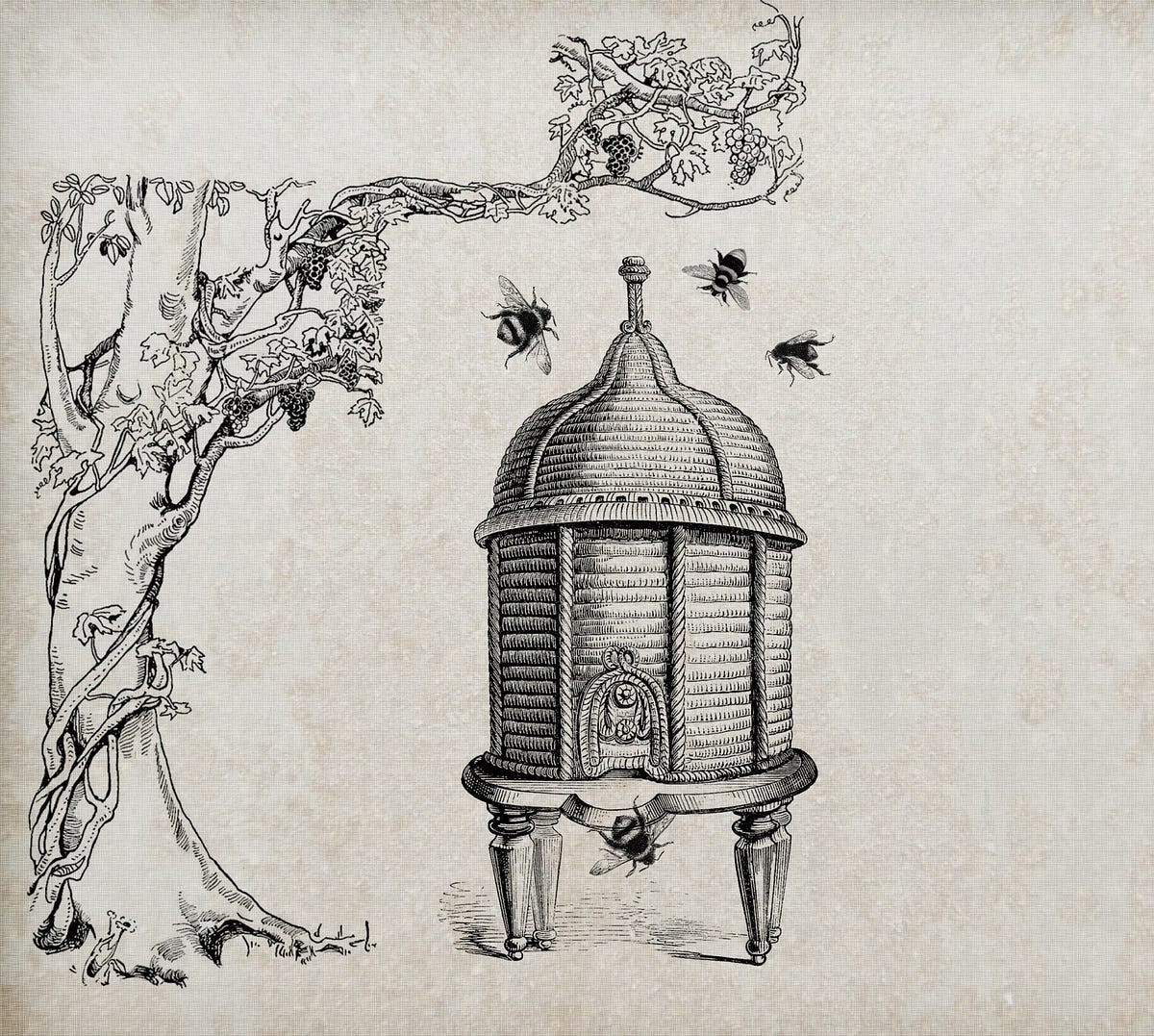 Honey Love - A BeeKeeper Series - Medium