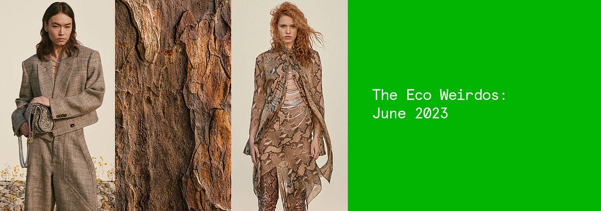 Deforestation and the Fashion Industry’s Impact | by Stella McCartney ...