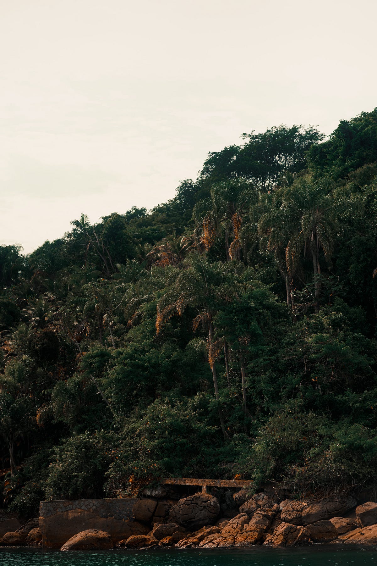 Unidades de Papel. Existe em nosso território uma enorme… | by Marcella Terra | Dec, 2023 | Medium