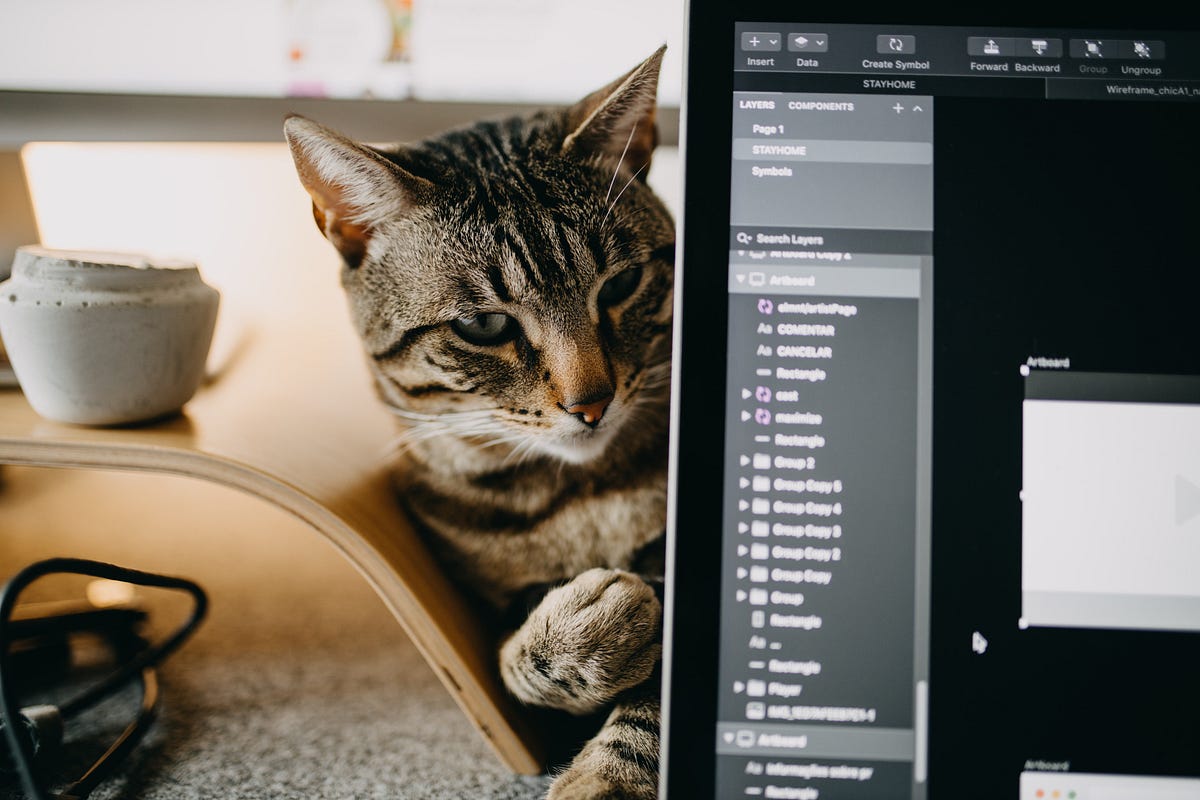 How to Become Fluent in Multiple Programming Languages | by Madison ... How to Become Fluent in Multiple Programming Languages | by Madison ...