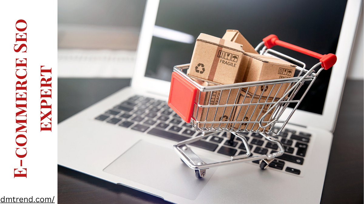 E-Commerce SEO Expert - Amelia Louis - Medium