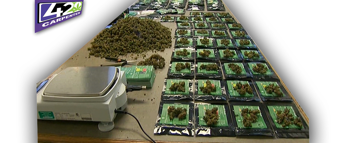 What is the role of Marijuana in our day to day life as a medicated ...