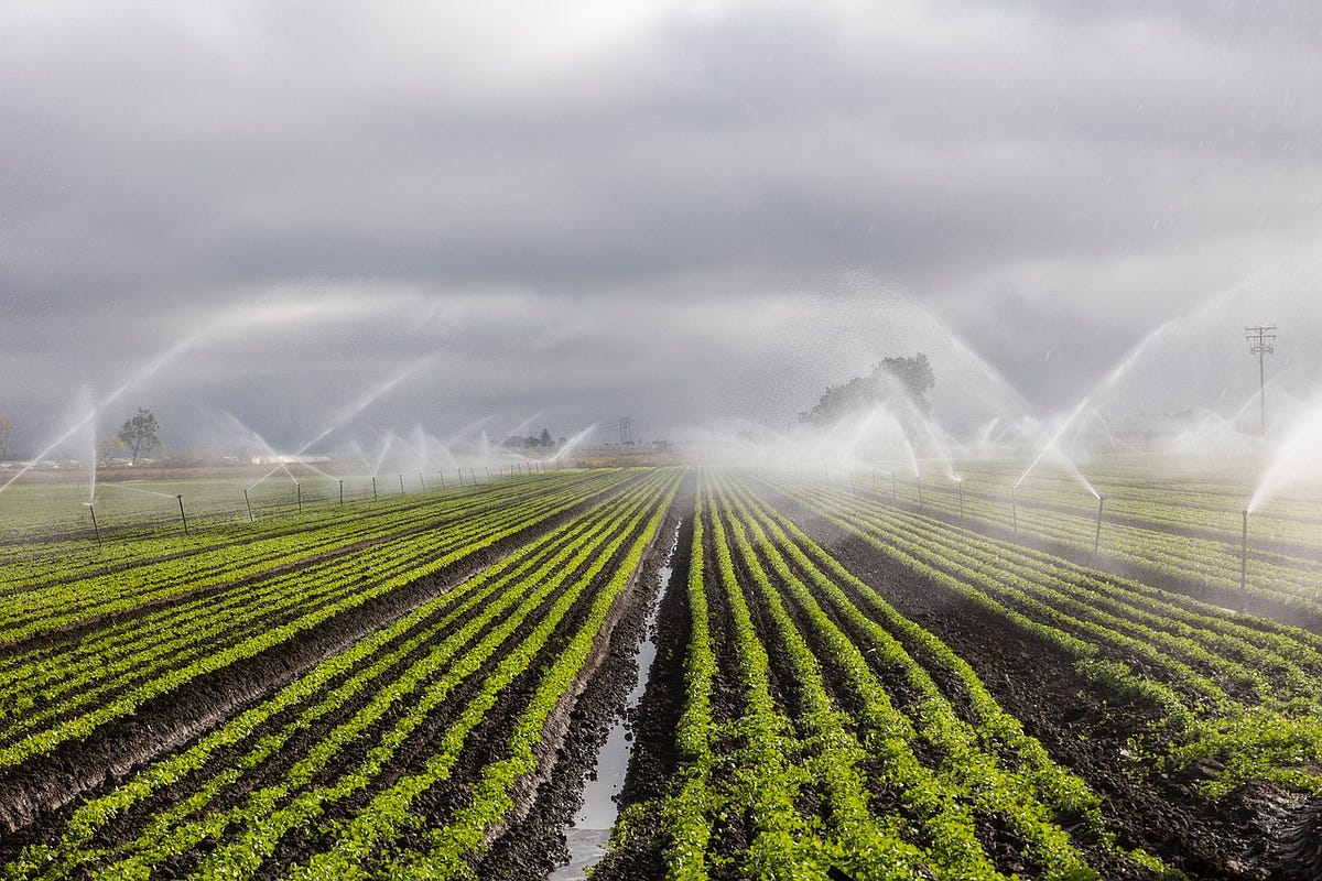 Agricultural Innovations for Climate Adaptation: Beyond Conventional ...