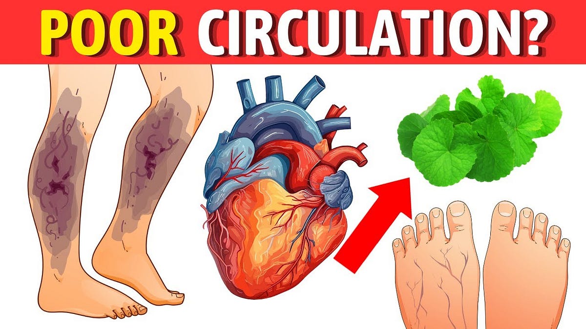 Improving Circulation Naturally: Say Goodbye to Cold Feet and More | by ...