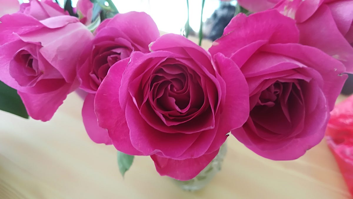 Haïku. De jolies roses Écarlates sur ma peau… | by Isabelle François ...