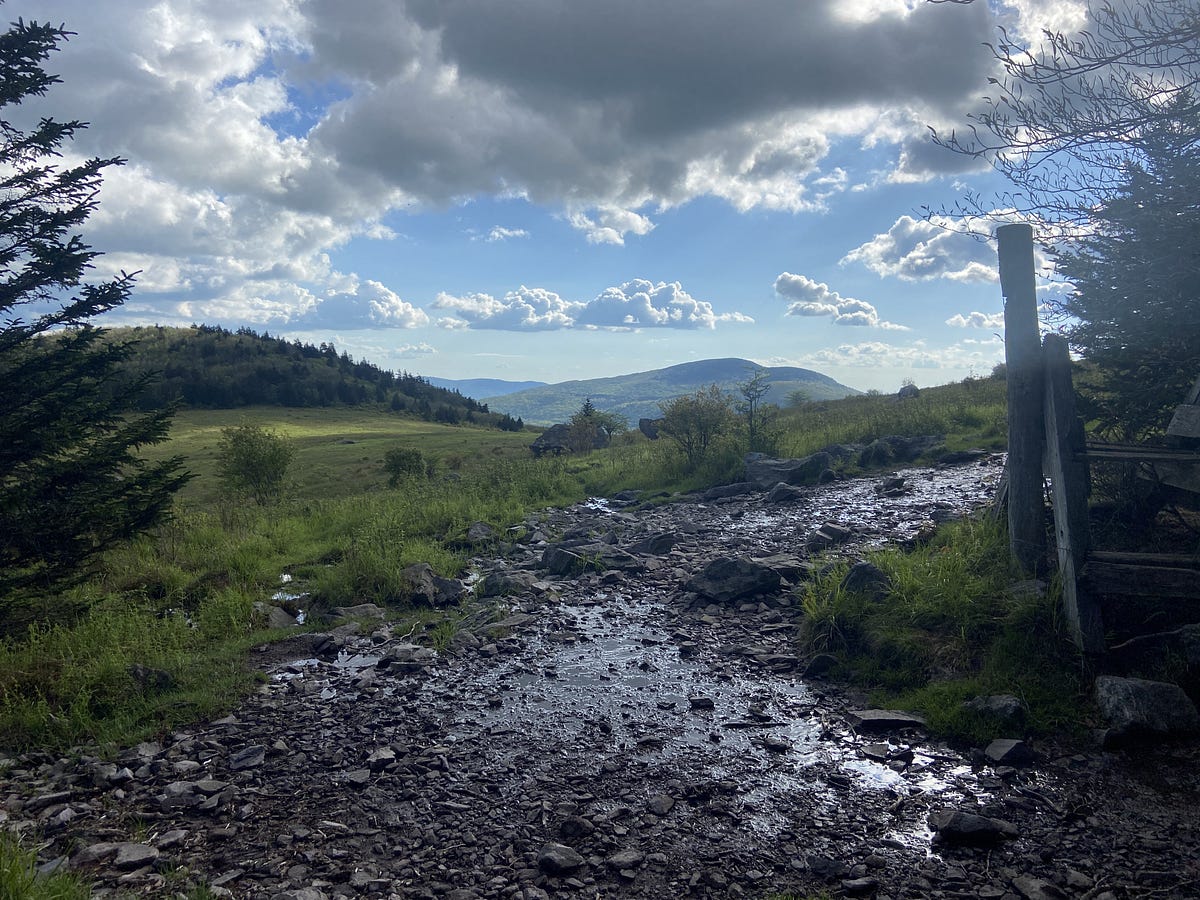 Grace in the Grayson Highlands: Days 42–45 | by Ben Carpenter | Aug ...