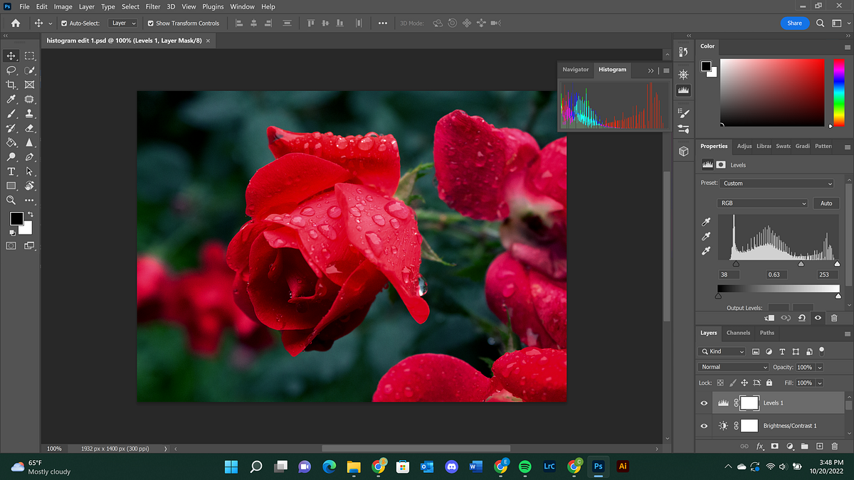HISTOGRAMS. White Balance | by Caden Davis | Medium