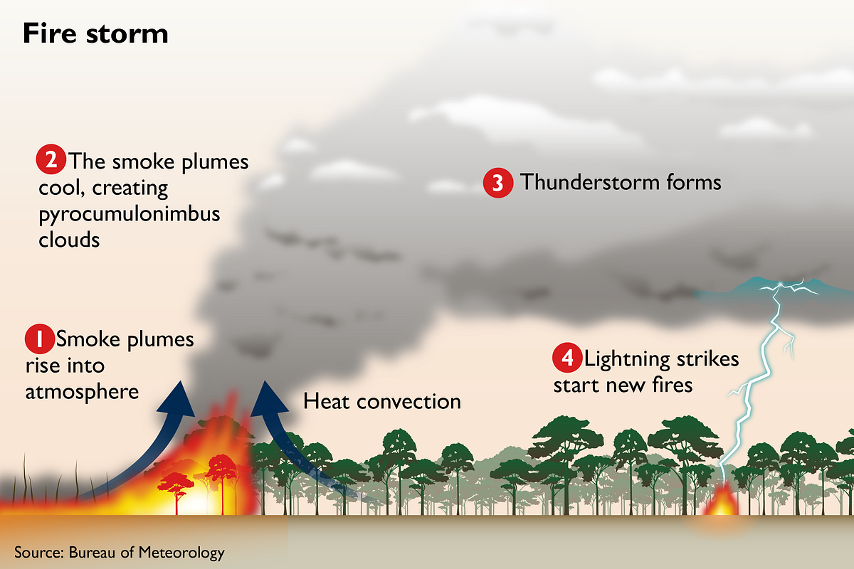 Did You Know Powerful Fires Can Create Their Own Storms? | by Hannah ...