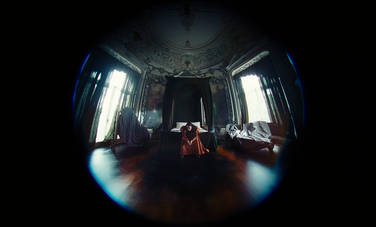 Fisheye Lenses in Yorgos Lanthimos’ Poor Things | by Mason Finn Kennedy ...